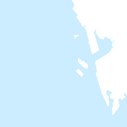 ArcGIS Dynamic Map Service by ArcGIS JS API